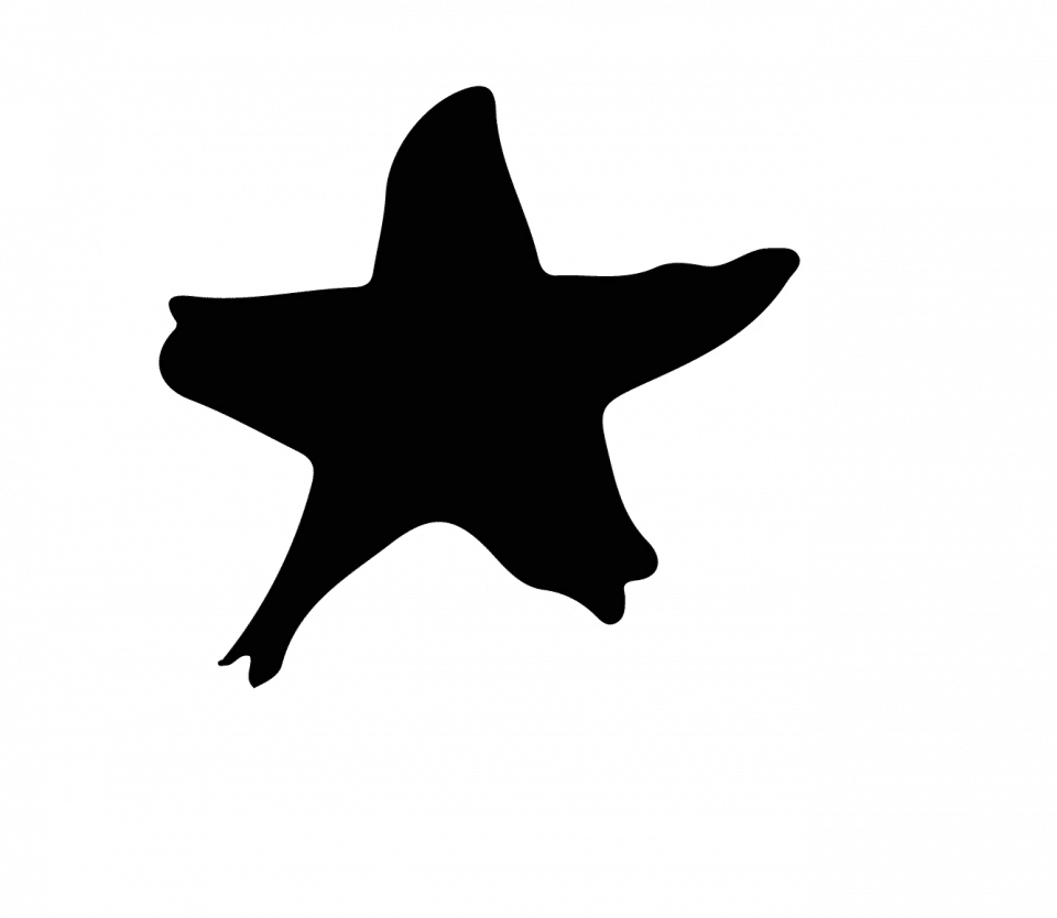 Doris Stokes Book | Voices Everywhere by Linda Dearsley